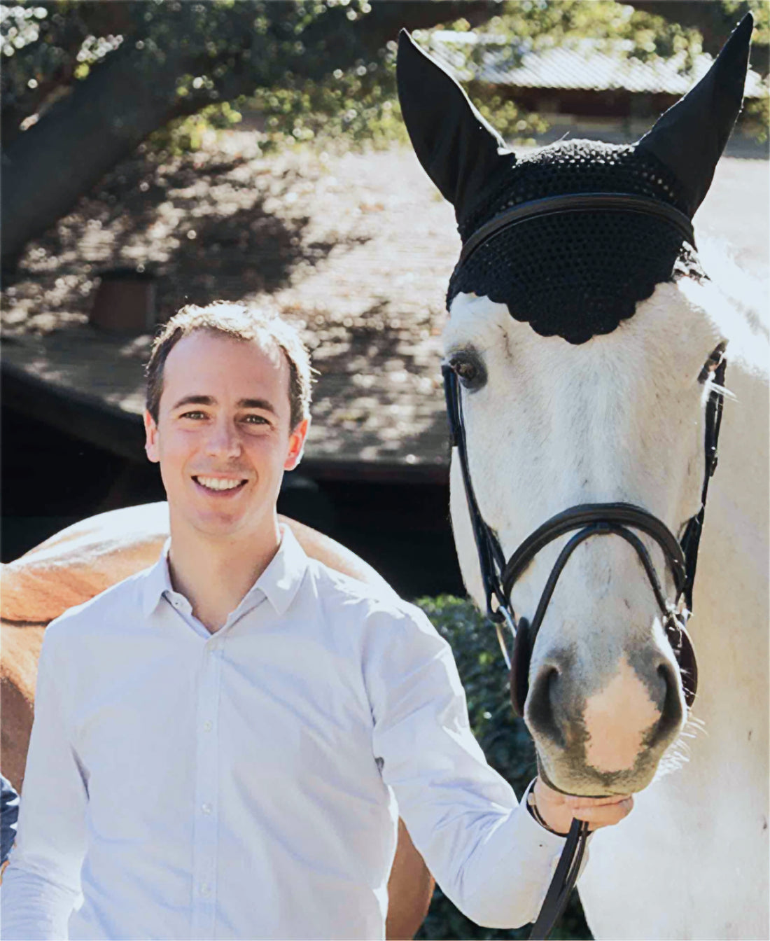 About America Cryo Equine | Innovators in Cryotherapy