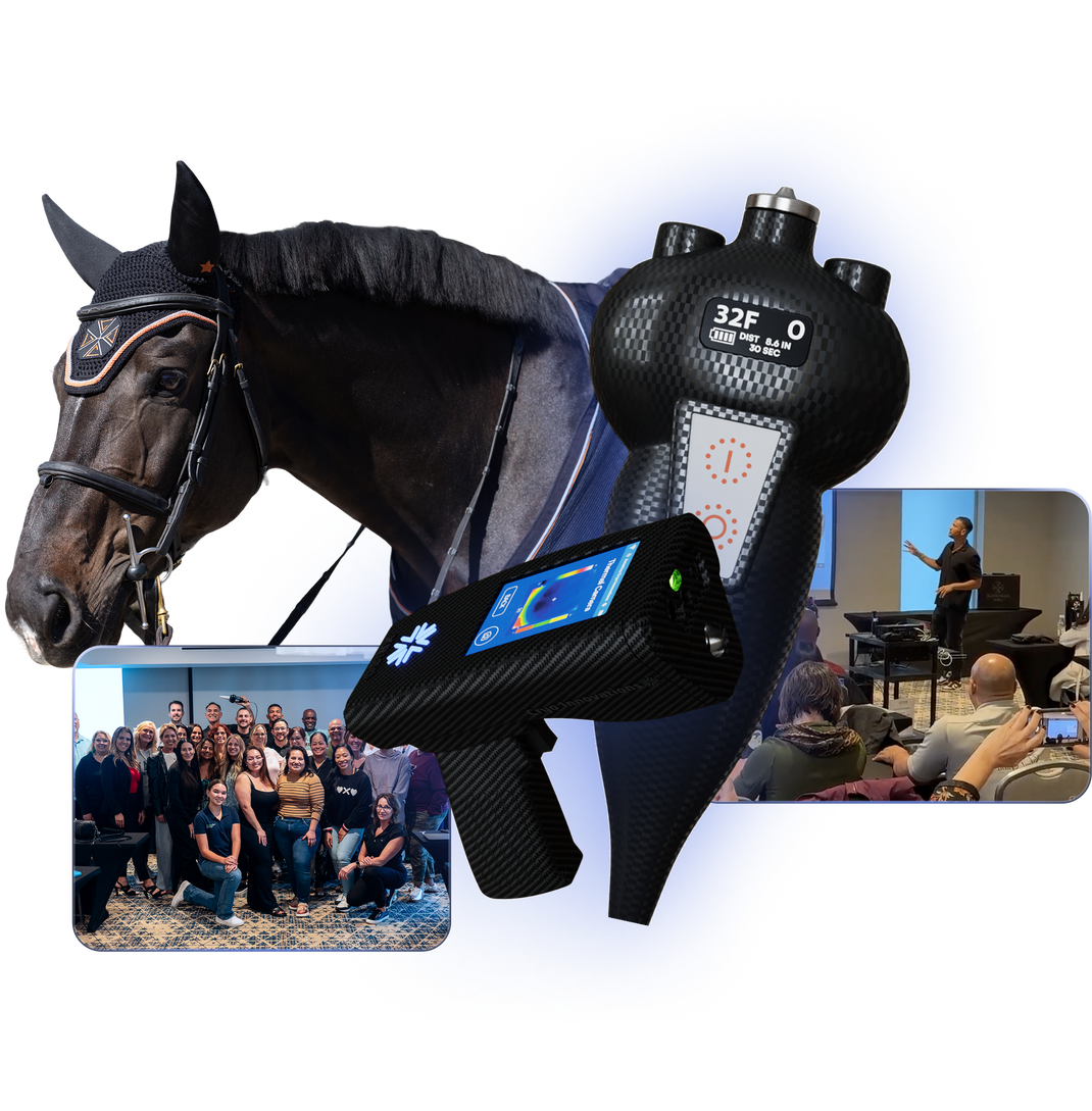 Equine Cryotherapy Devices | America Cryo Equine