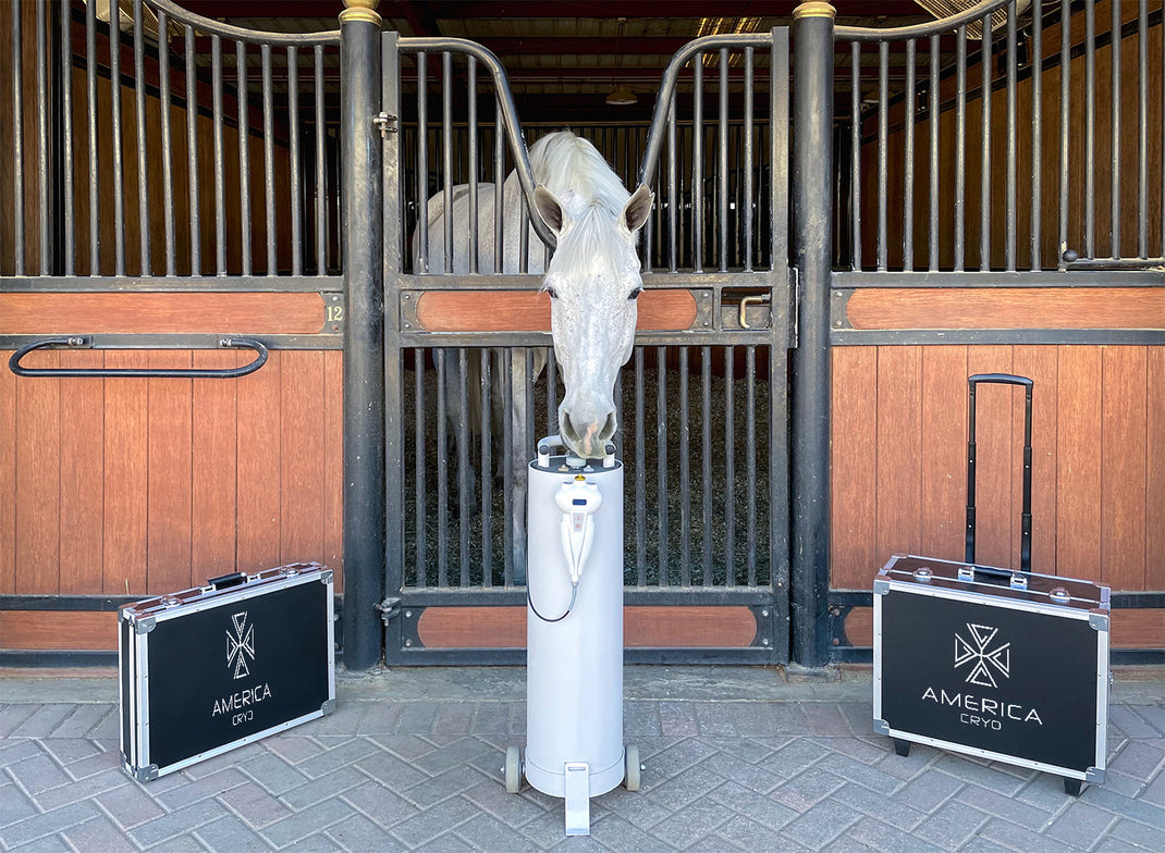 Subzero Equine Cryotherapy | Targeted Horse Pain Relief – America Cryo ...