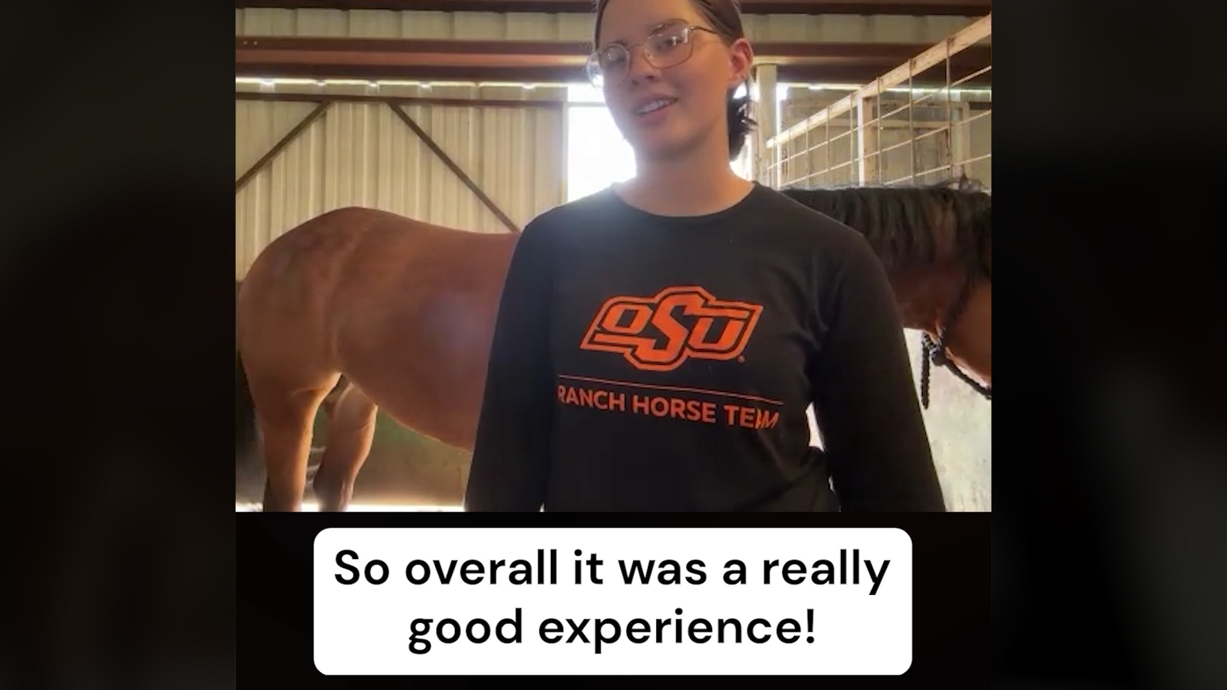 Training – America Cryo Equine