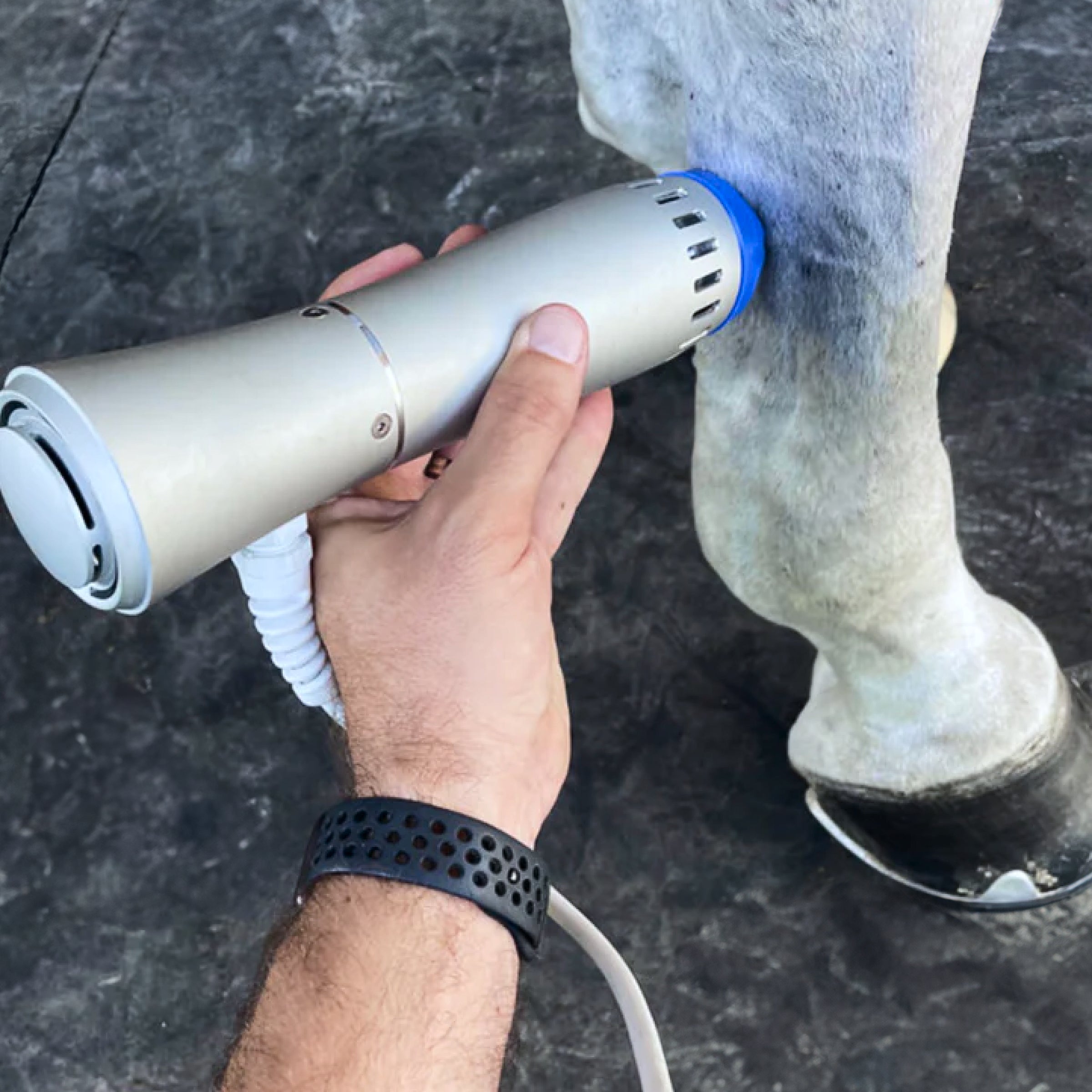 Equine Cryotherapy Devices | America Cryo Equine