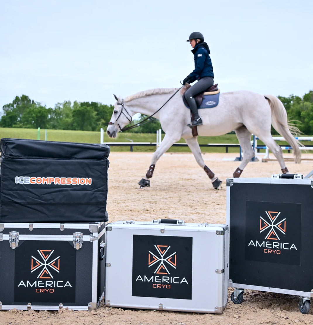 Equine Cryotherapy Devices | America Cryo Equine